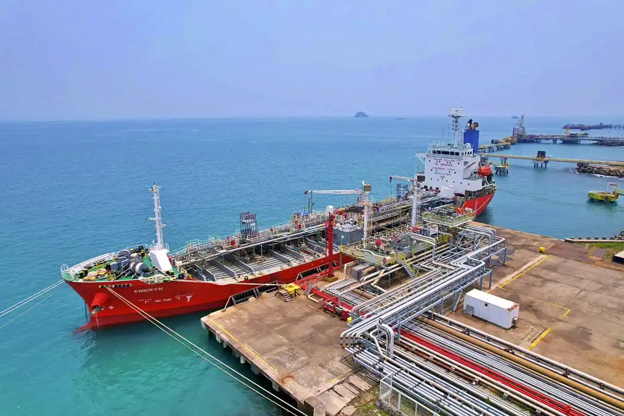 Saham CDIA Terbang Tinggi, Ini Prospek, Dividen, dan Aksi Bisnis ...